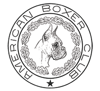 Renaissance Cluster Dog Show (Feb 2028), Madison USA - Workshop