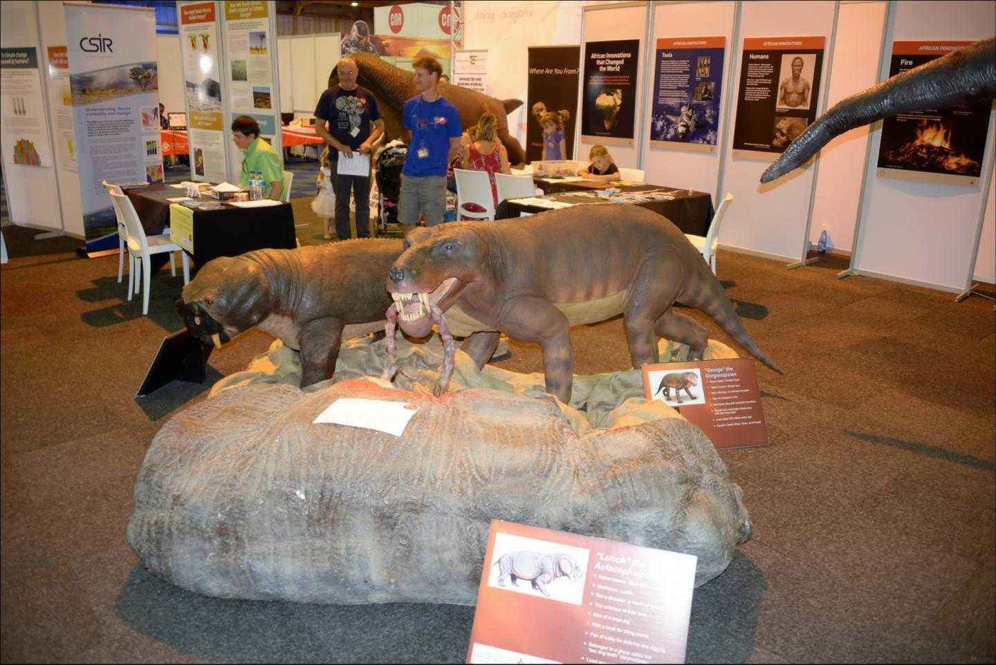 Rand Show (Mar 2024), Johannesburg South Africa - Trade Show