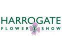 Harrogate Flower Show (Apr 2026), Harrogate UK - Workshop