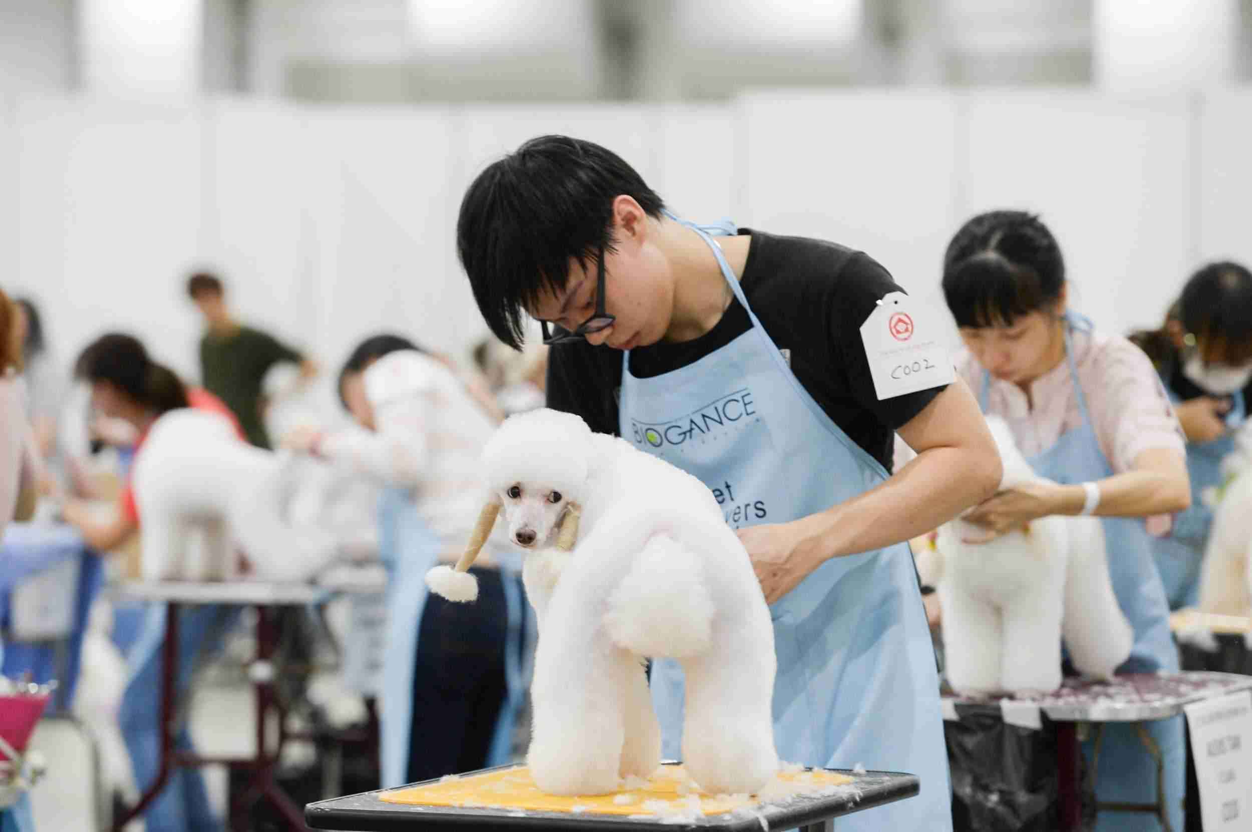 Pet Expo Singapore (Mar 2024), Pet Expo, Singapore - Trade Show