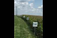 Farm Progress Show (Aug 2025), Decatur USA - Trade Show