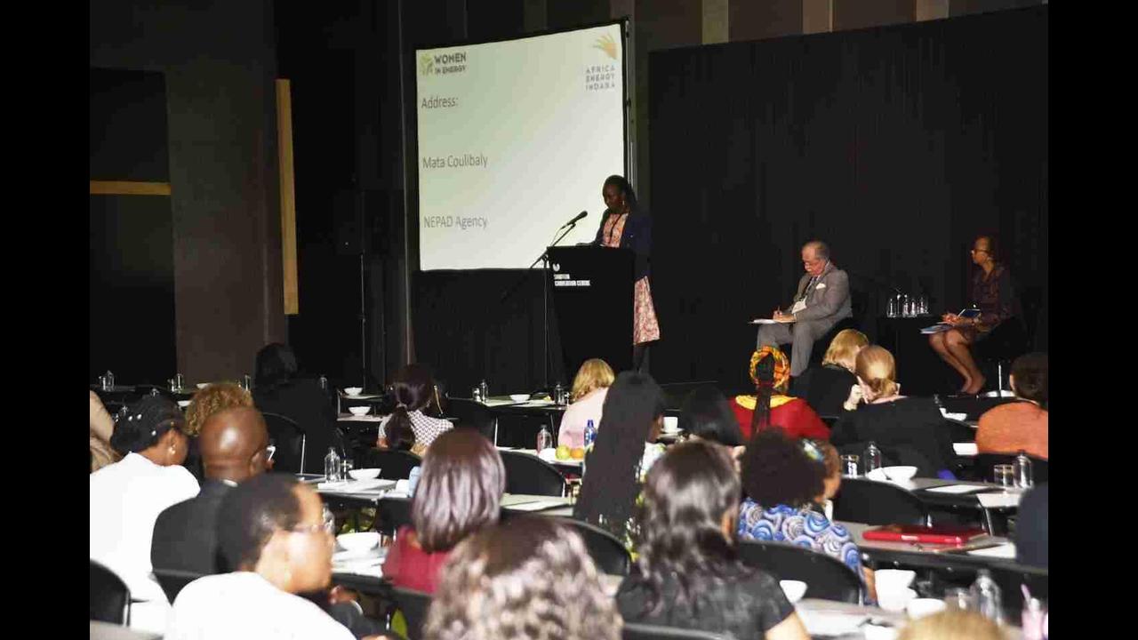 IPP & PPA (Feb 2019), IPP & PPA Conference, Johannesburg South Africa ...