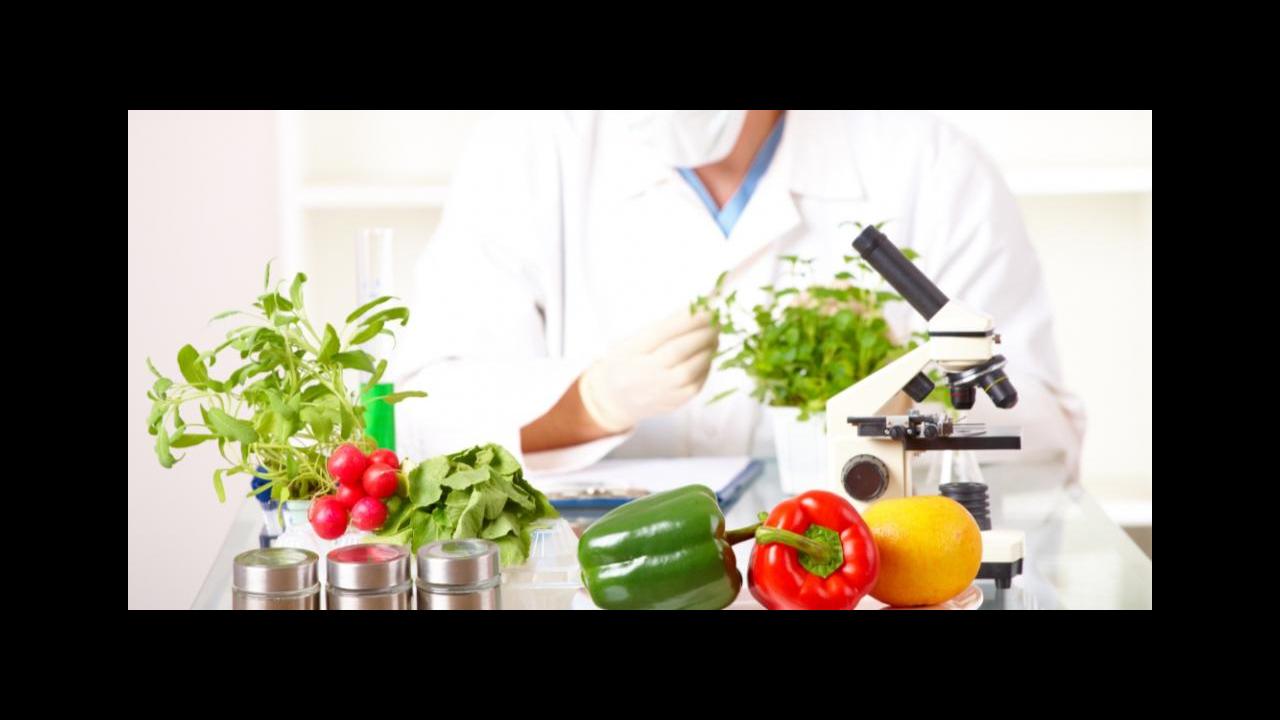 Exhibitors, List of Companies at Virtual Food Show, Online, Online