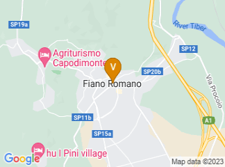 Global Virology Summit (Nov 2024), Fiano Romano Italy - Conference