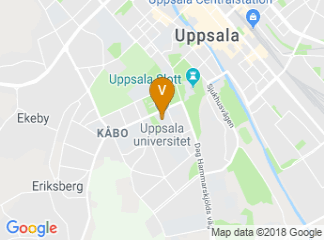 Accounting for the unaccounted: New estimates of household-level income ...