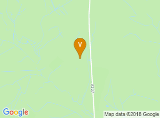 New Forest And Hampshire County Show (Jul 2024), New Forest District UK ...