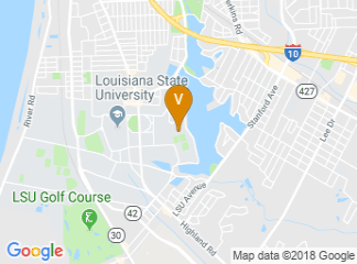 Data Flow Conference (May 2016), Baton Rouge USA - Conference