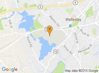 Antiques at Elm Bank (Jun 2015), Wellesley USA - Trade Show