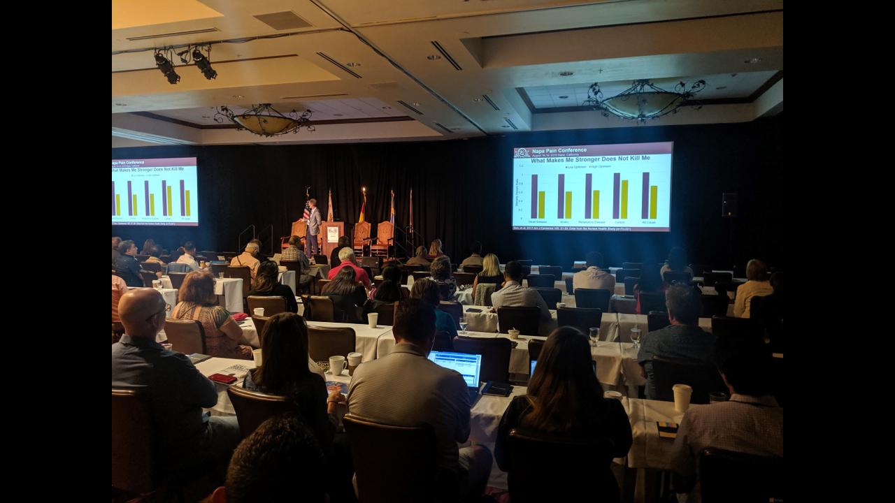 NPC (Aug 2026), Napa Pain Conference, Napa USA - Conference