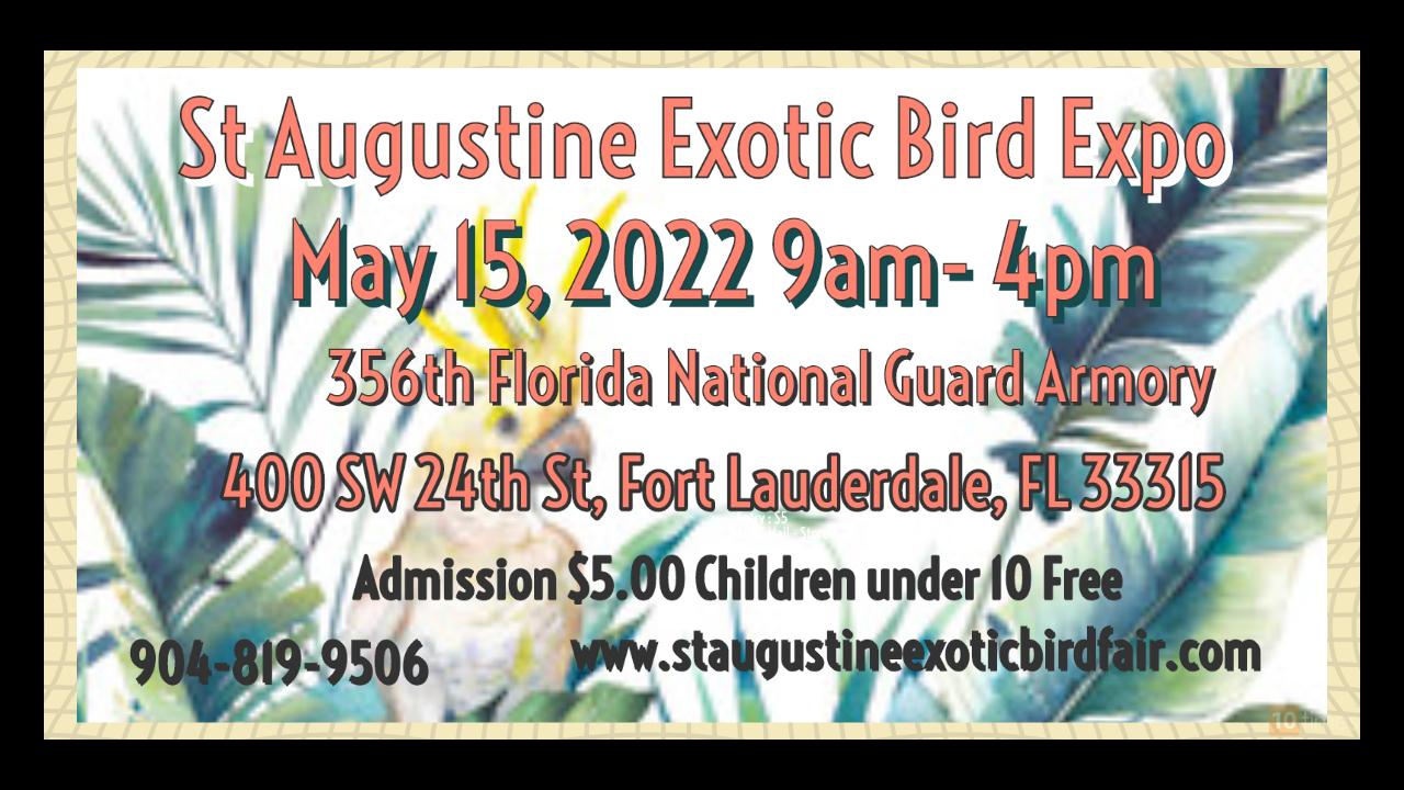 Bird Fair (Apr 2023), Exotic Bird Expo, Fort Lauderdale USA - Trade Show